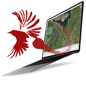 Firetail | movement analysis and visualization for wild animal research